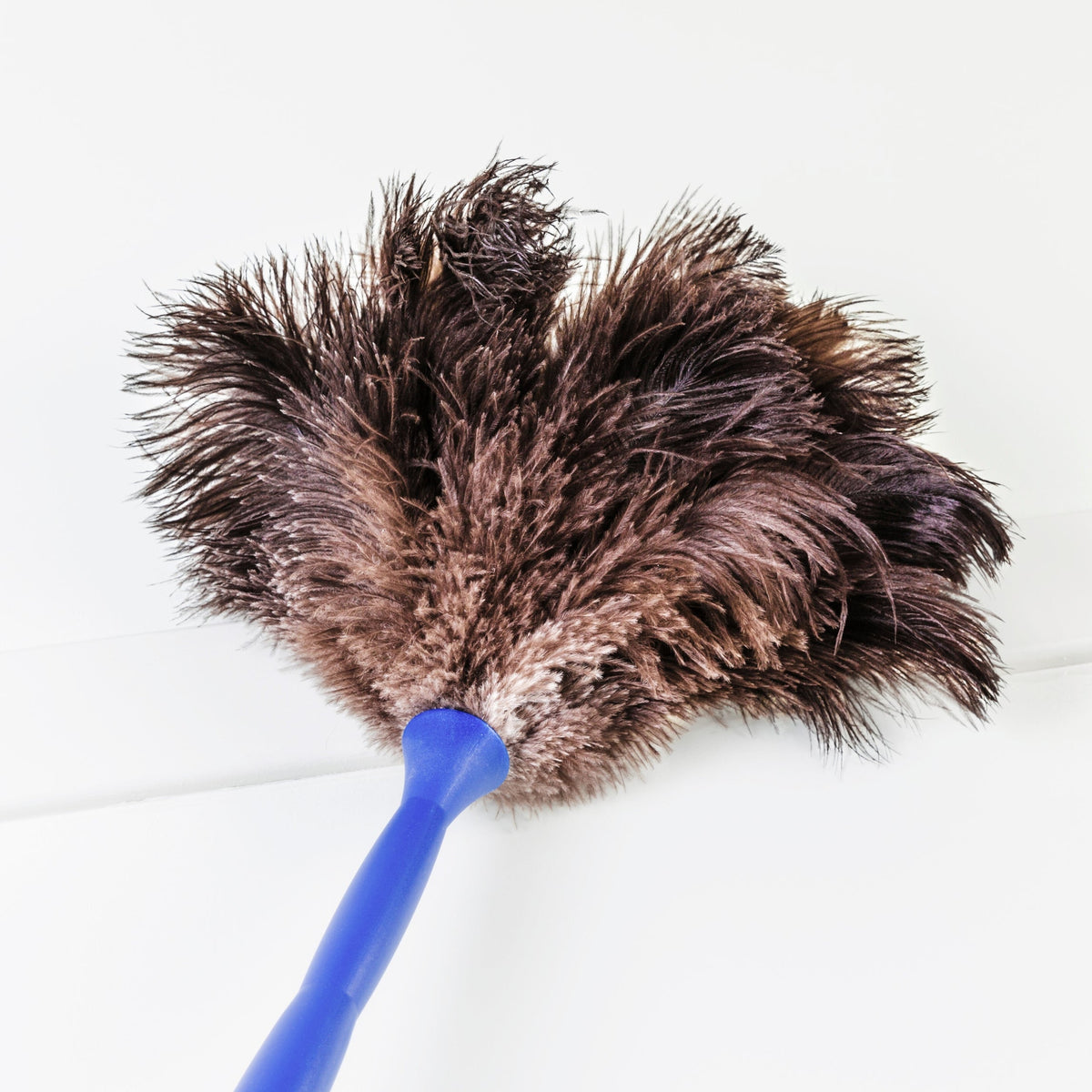 Shop Dusters - Find Microfiber and Extendable Dusting Tools | WIM ...